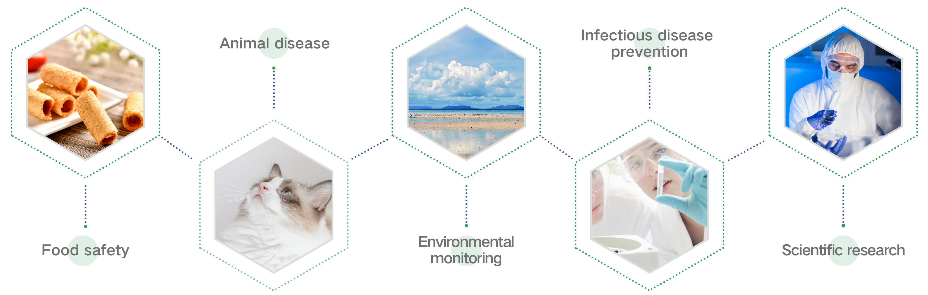 [Copy] Applications - Igenesis